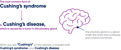 About Cushing’s Syndrome